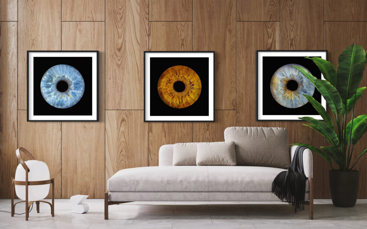 Foto Hirsch – Irisfotografie DUO mit über 60 % Rabatt – Frankfurt